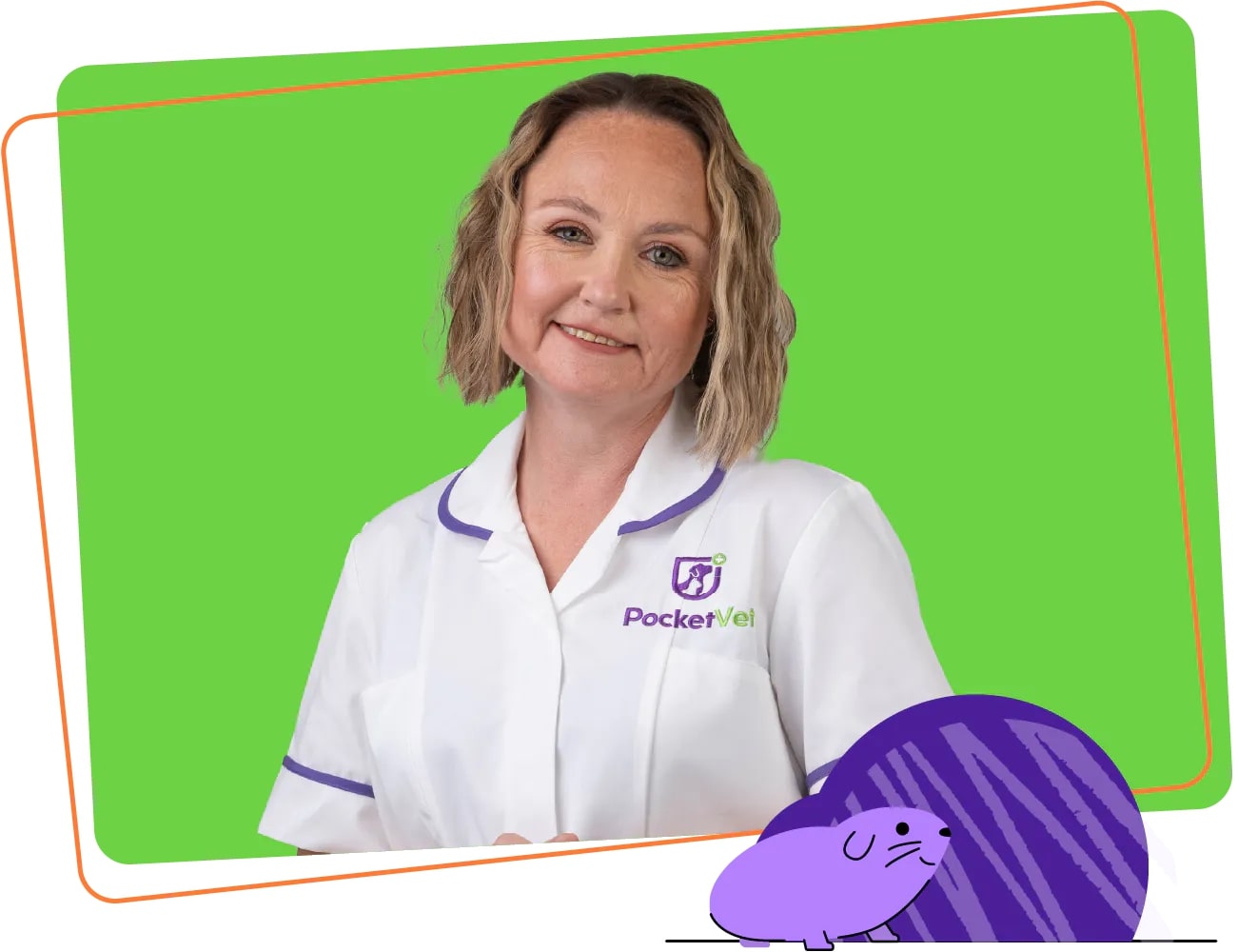 Buy Activyl Tick Plus Spot-On for Dogs from £27.27 - UK Pets