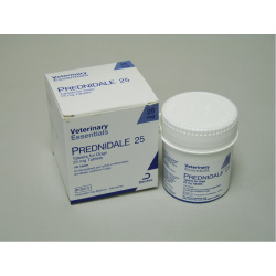 Buy Prednidale Tablets Online from 9p | Save upto 74% | UK Pets
