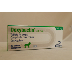Buy Doxybactin for Dogs and Cats - Tablets from £1.25 | UK Pets