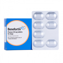 Buy Benefortin Flavour Tablets from £0.46 - UK Pets