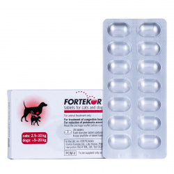 Buy Fortekor for Dogs & Cats (2.5mg Flavour Tablets) from £0.72 | UK Pets