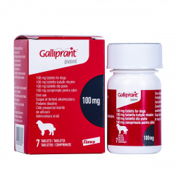 Buy Galliprant for Dogs Online from 87p | Save 74% | UK Pets