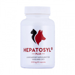 Buy Hepatosyl Plus Online | Save Up To 74% | UK Pets