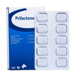 Buy Prilactone Next® Chewable Tablets for Dogs from £11.4 - UK Pets
