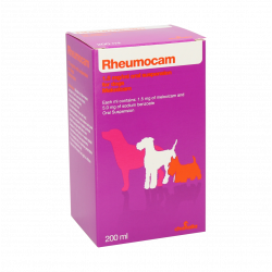 Buy Rheumocam for Dogs (Meloxicam) - from £10.87 | UK Pets