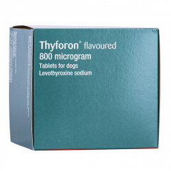 Buy Thyforon for Dogs Online - Tablets from 15p | UK Pets