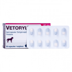 Buy Vetoryl for Dogs (Hard Capsules) from £1.28 | Save upto 74% | UK Pets