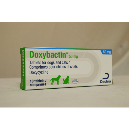 Buy Doxybactin for Dogs and Cats - Tablets from £1.25 | UK Pets