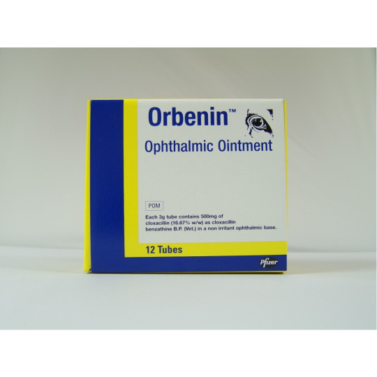 Buy Orbenin Opthalmic Eye Ointment 16.67% w/w from £6.29 | UK Pets