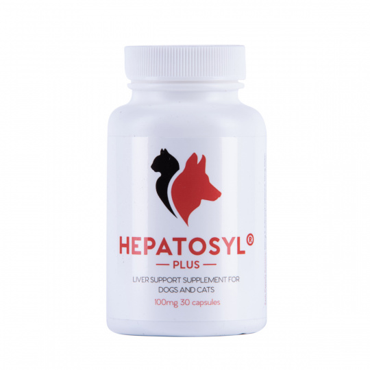 Buy Hepatosyl Plus Online | Save Up To 74% | UK Pets