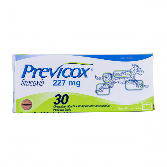 Buy Previcox for Dogs - Chewable Tablets from 61p | UK Pets